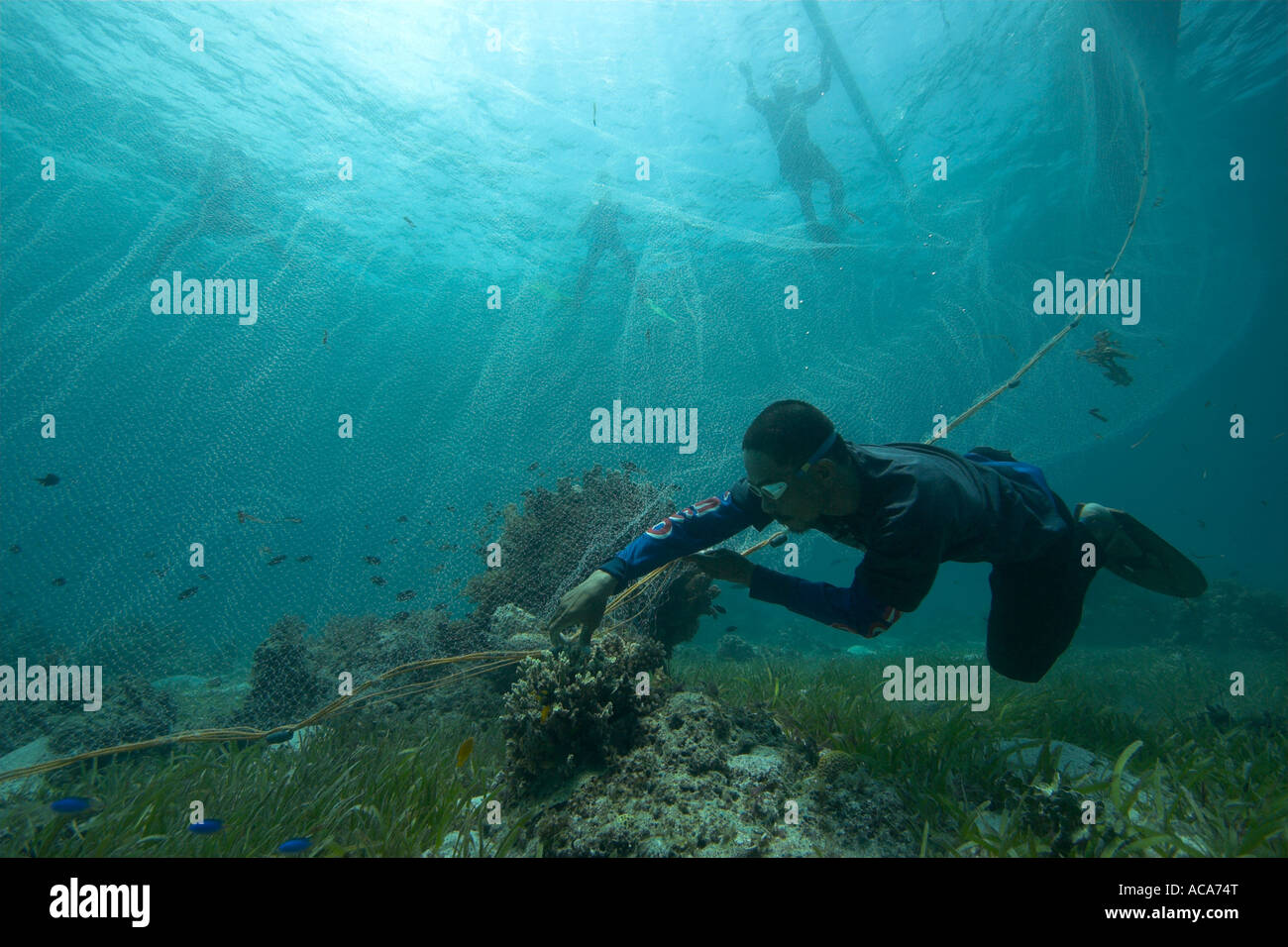 Fisher catch Pacific needlefish with a net, Philippines Stock Photo - Alamy