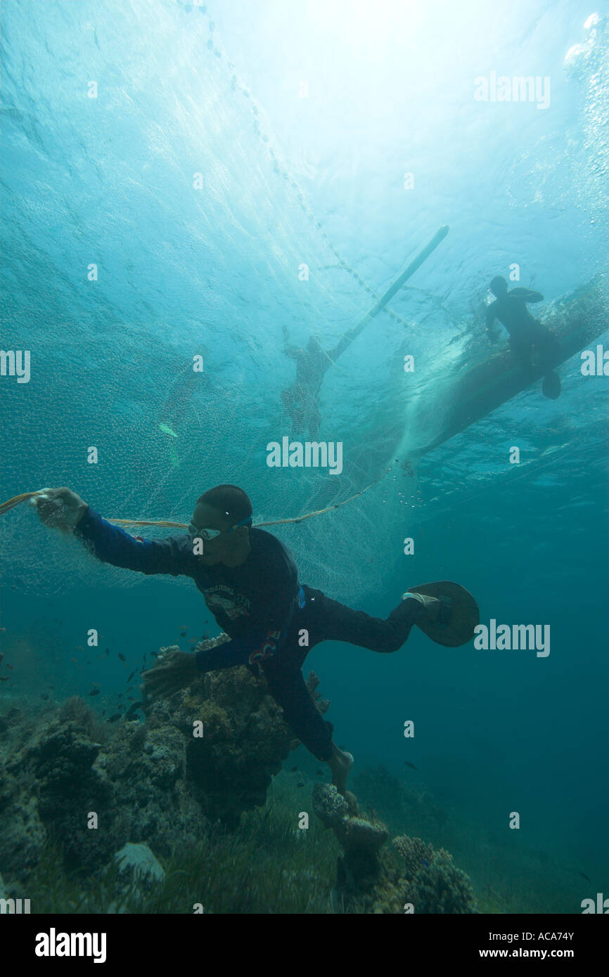 Fisher catch Pacific needlefish with a net, Philippines Stock Photo - Alamy