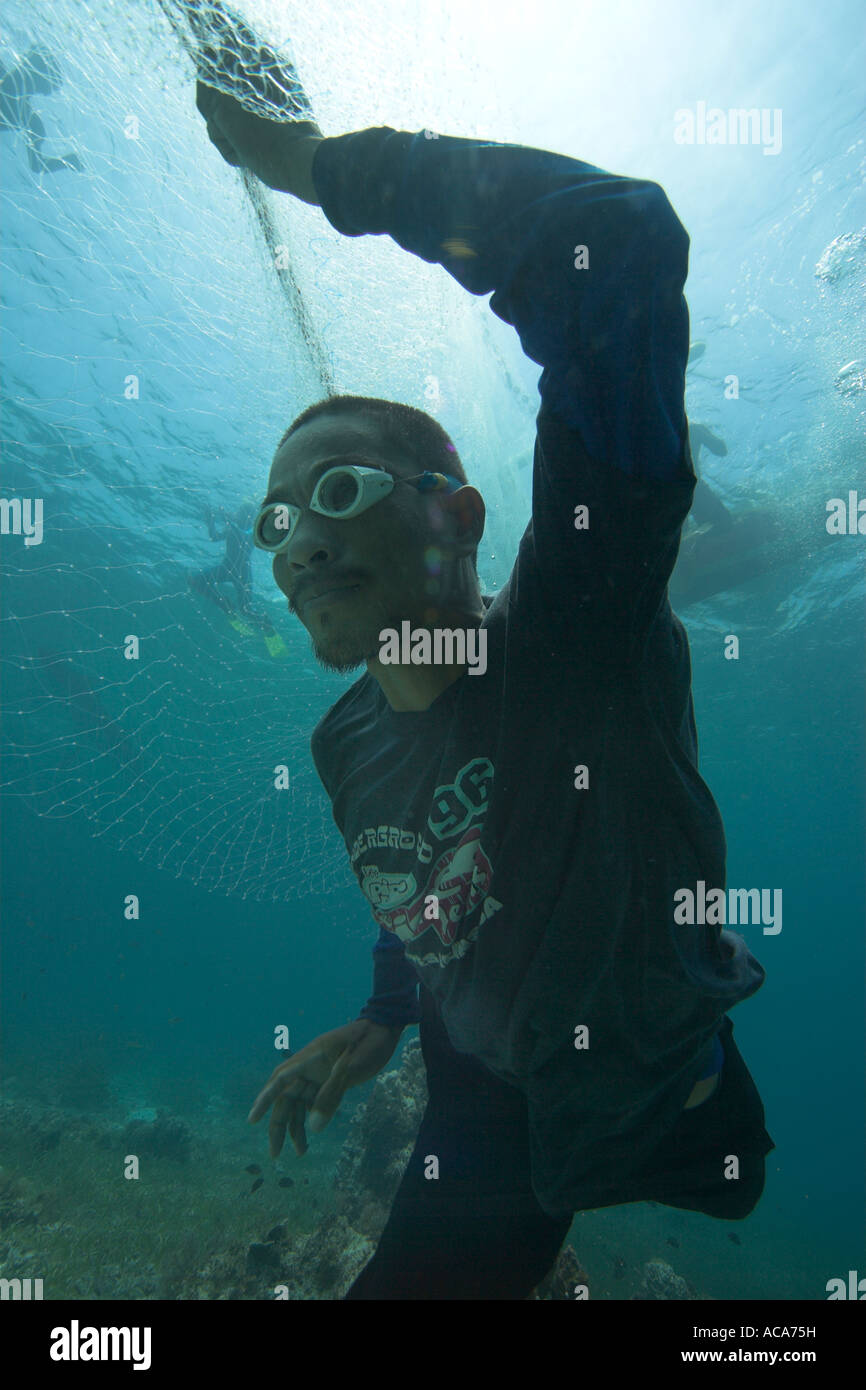 Fisher catch Pacific needlefish with a net, Philippines Stock Photo - Alamy