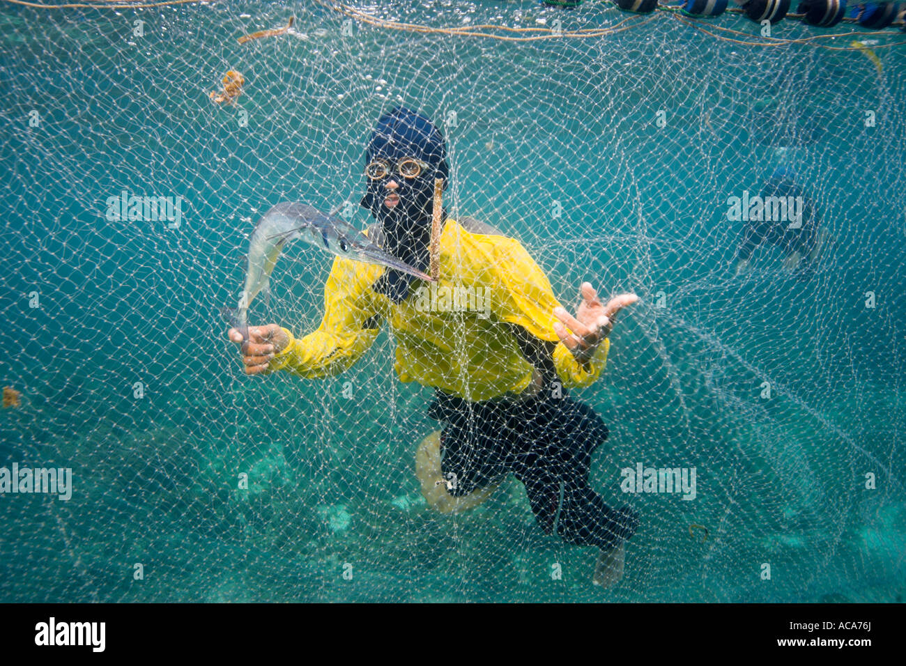 Fishermen catching Pacific needlefish with a net, Philippines Stock ...