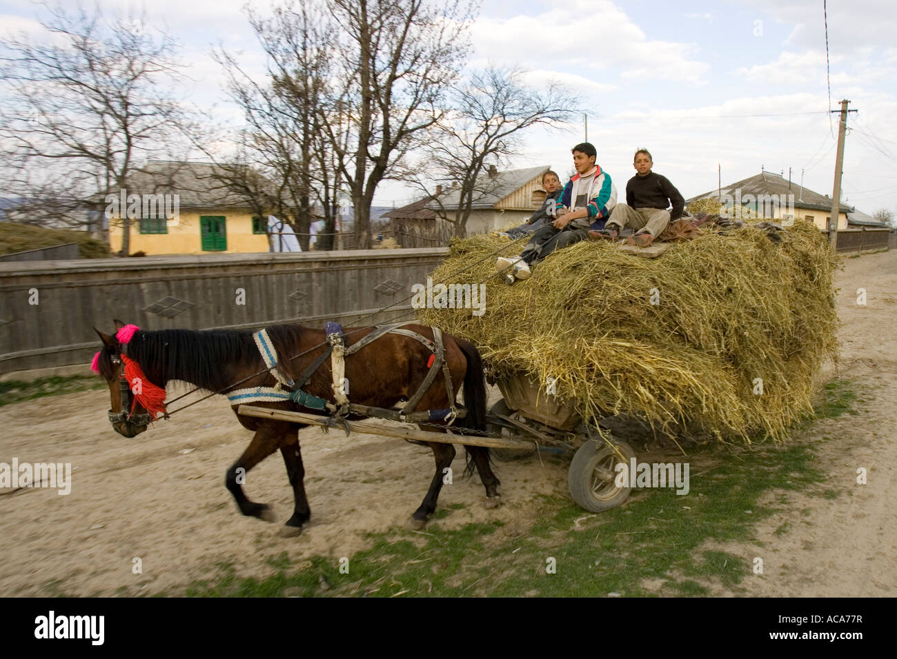 Horse carriage, Gulia, Romania Stock Photo - Alamy