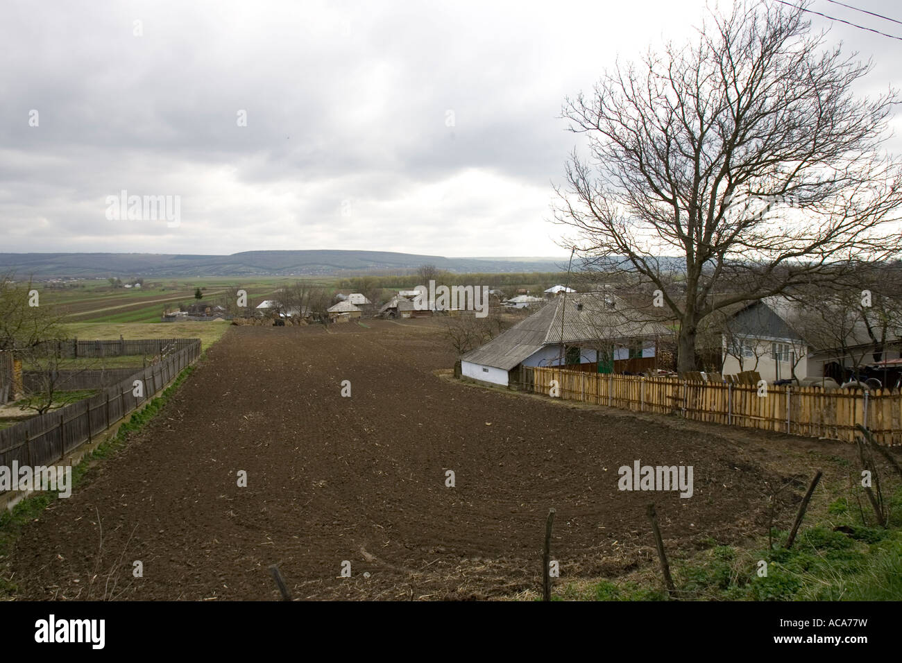 Gulia hi-res stock photography and images - Alamy