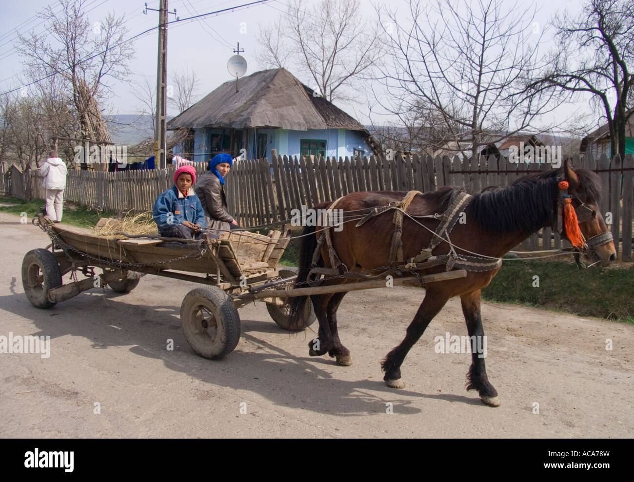 Horse drawn carriage, Gulia, Romania Stock Photo - Alamy
