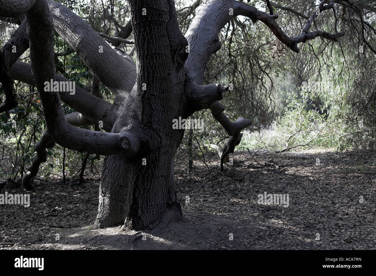 Long beach el dorado hi-res stock photography and images - Alamy