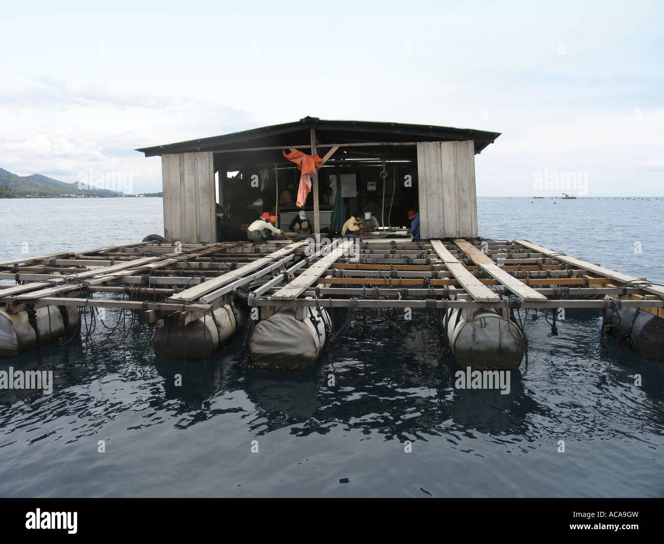Oyster farm off Bali, Indonesia Stock Photo - Alamy