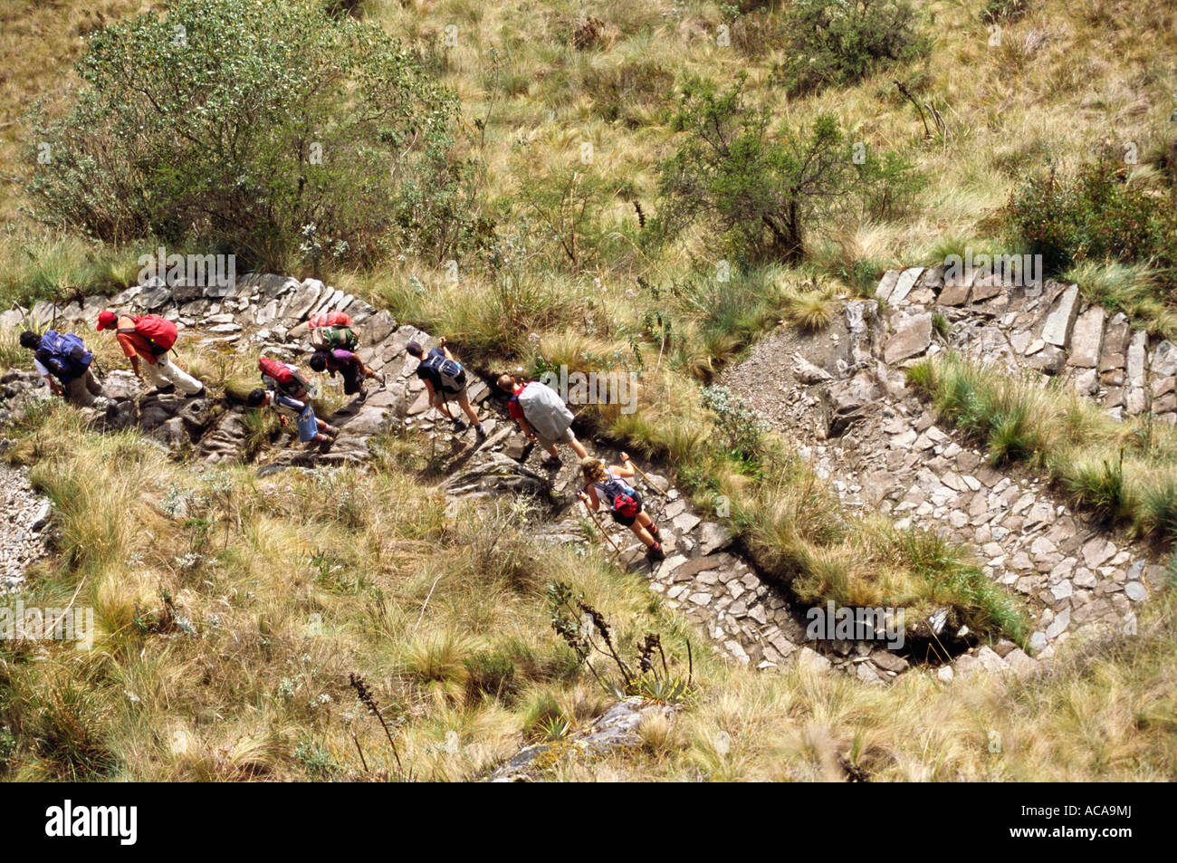 Winding track - Inca Trail, Urubamba Valley, PERU Stock Photo - Alamy