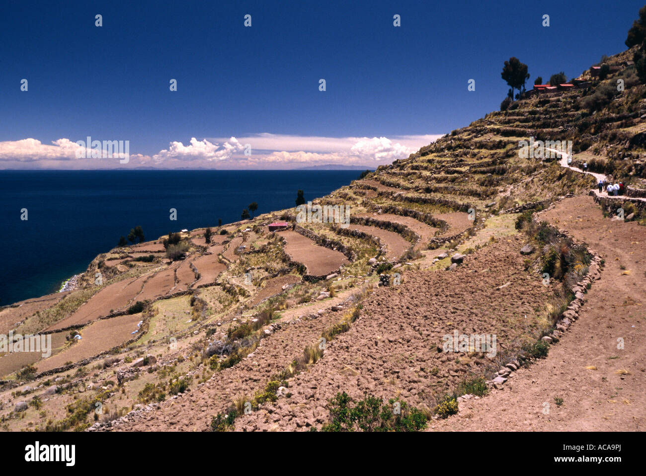 Agricultural terraces - Isla Taquile, Lake Titicaca, PERU Stock Photo ...