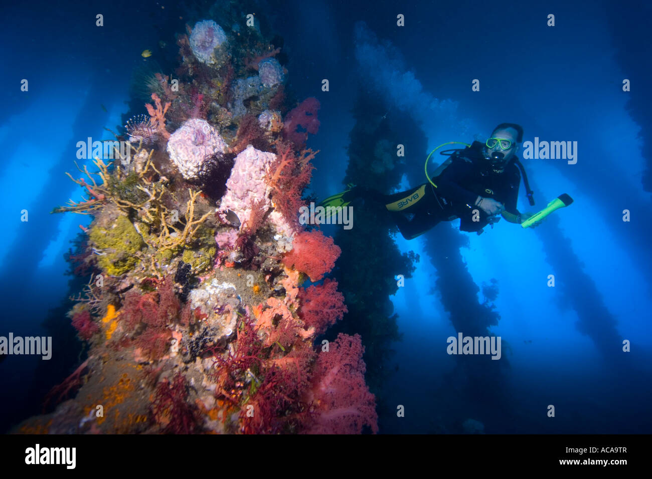 Covered pillars hi-res stock photography and images - Alamy