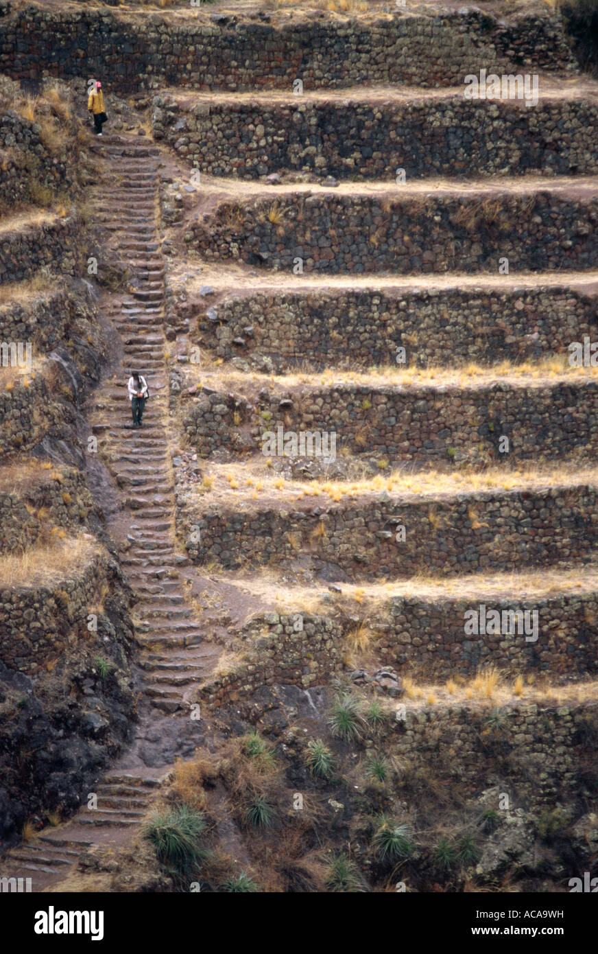 Agricultural terracing - Pisac, Urubamba Valley, PERU Stock Photo - Alamy