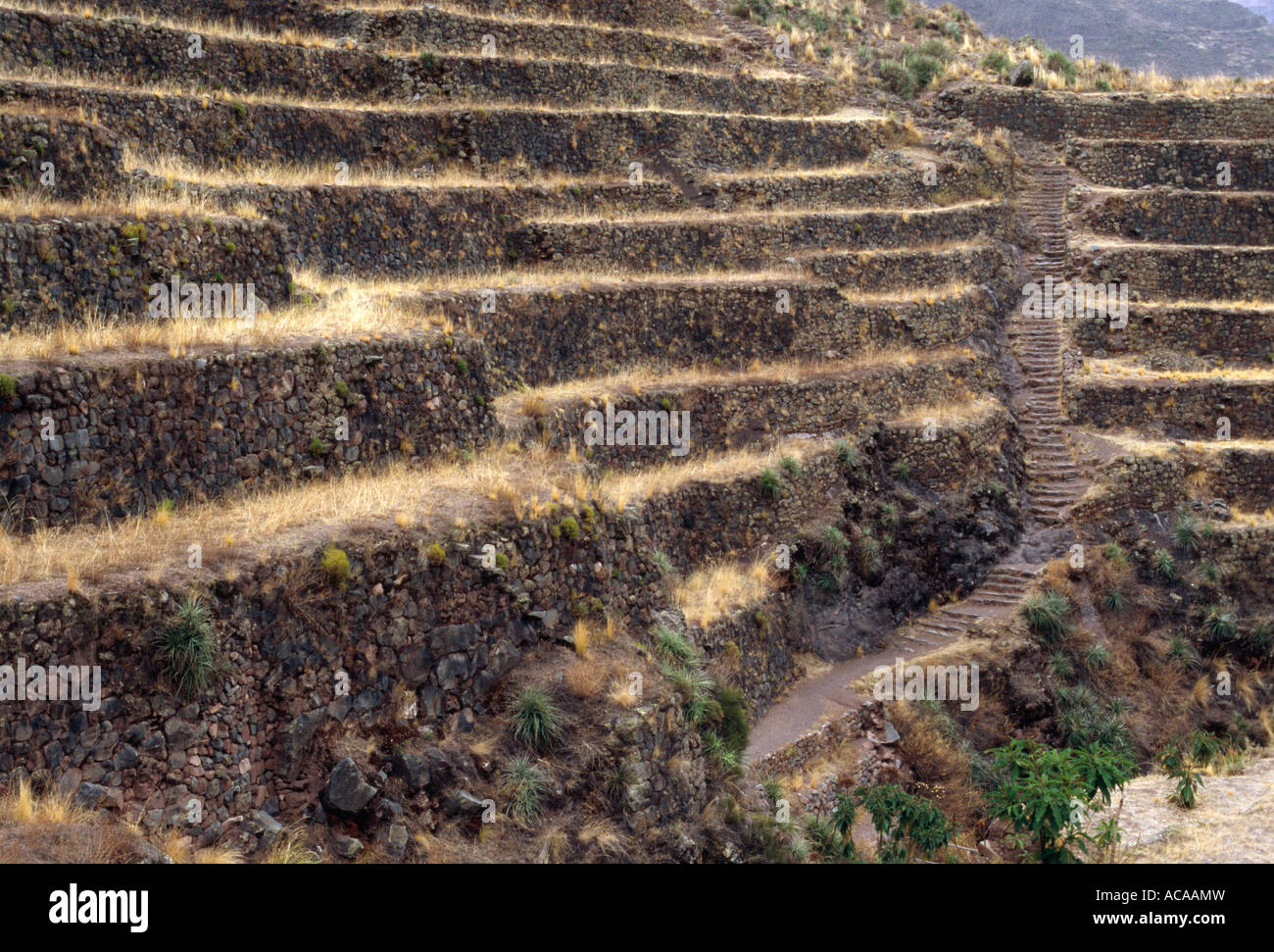 Inca terracing - Pisac, Urubamba, PERU Stock Photo - Alamy