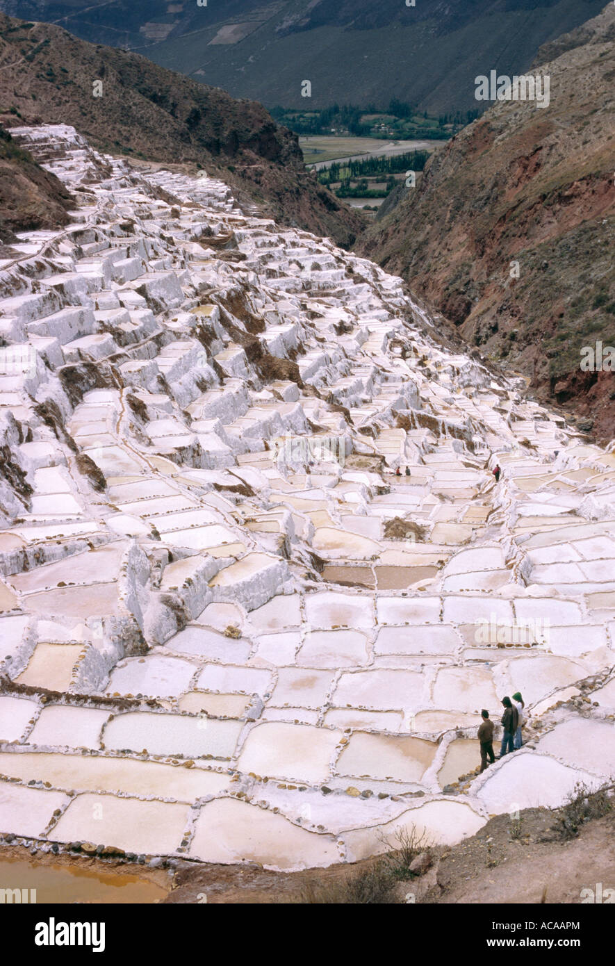 Salt pans - Salinas, Urubamba PERU Stock Photo - Alamy