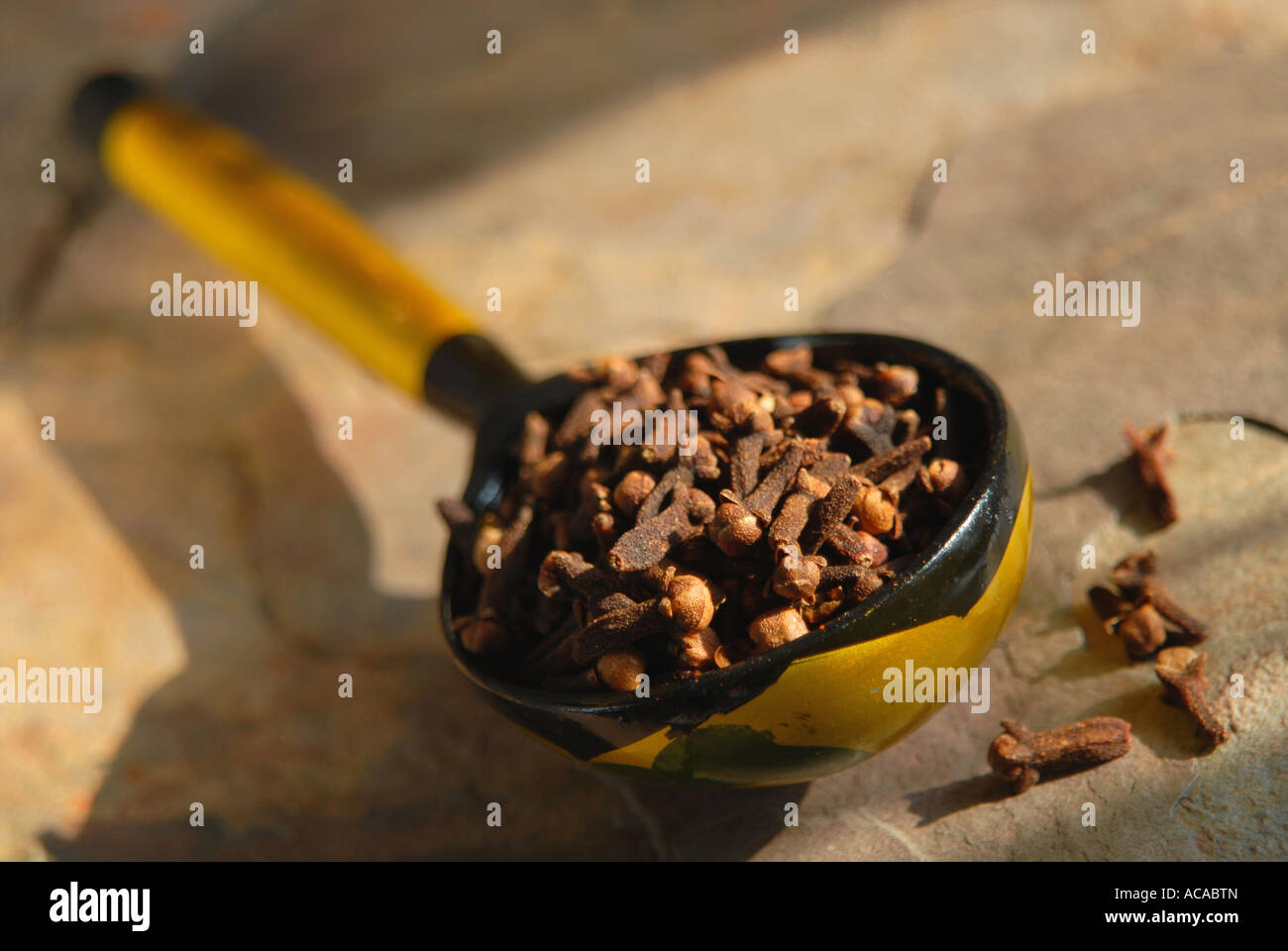 Whole cloves hi-res stock photography and images - Alamy