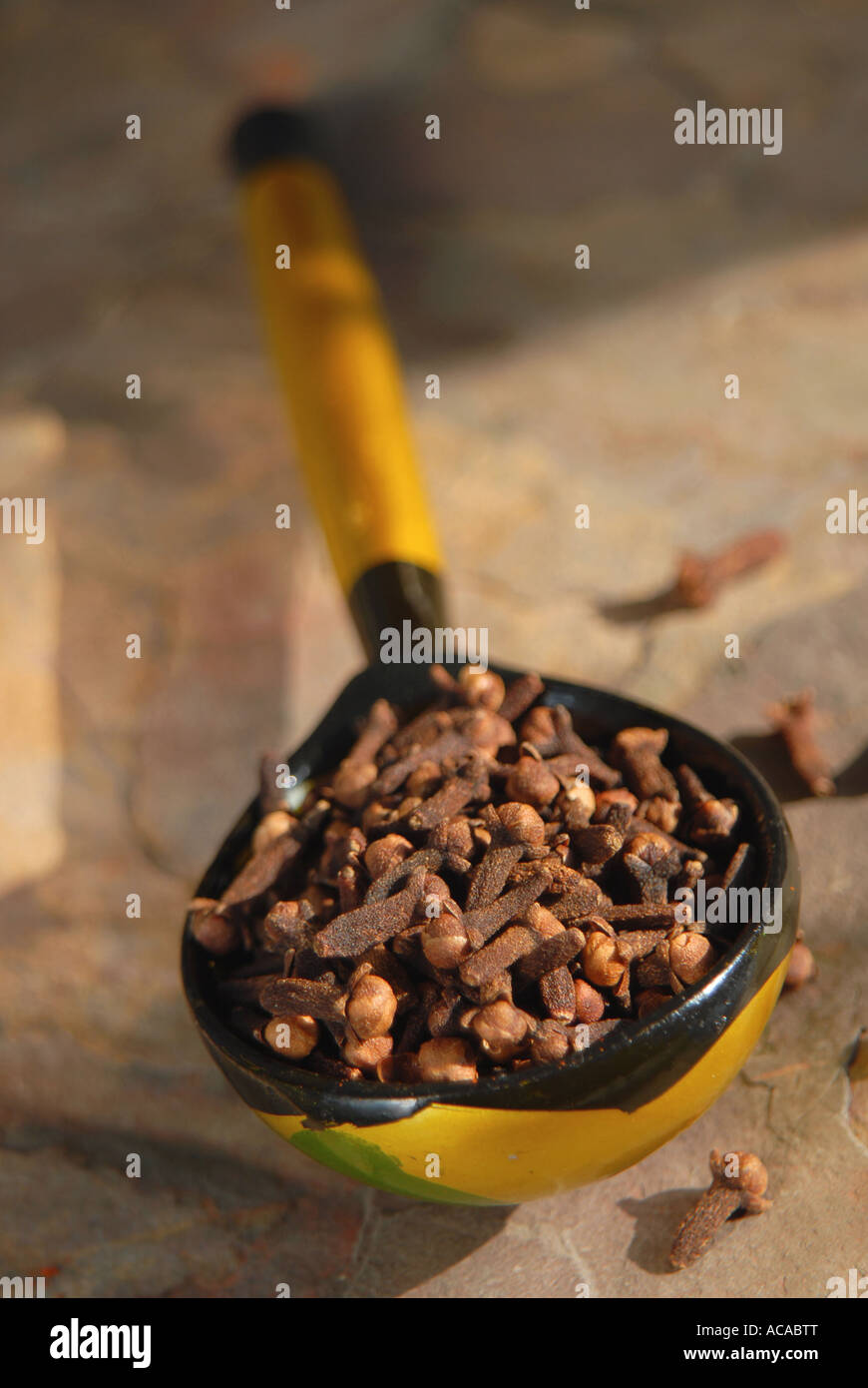 Whole cloves in lacquered wooden spoon Stock Photo - Alamy