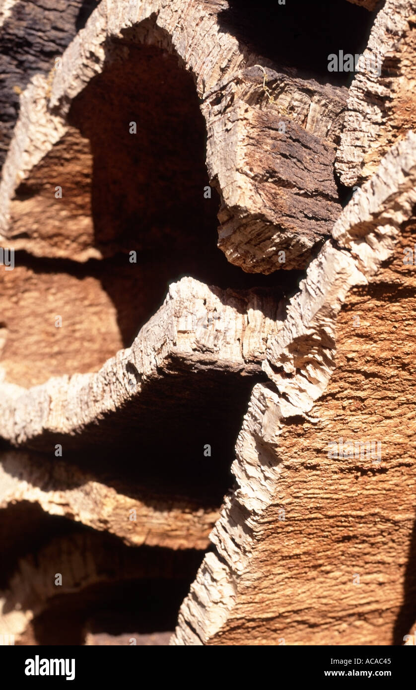 Bark cork tree material materials oak hi-res stock photography and ...