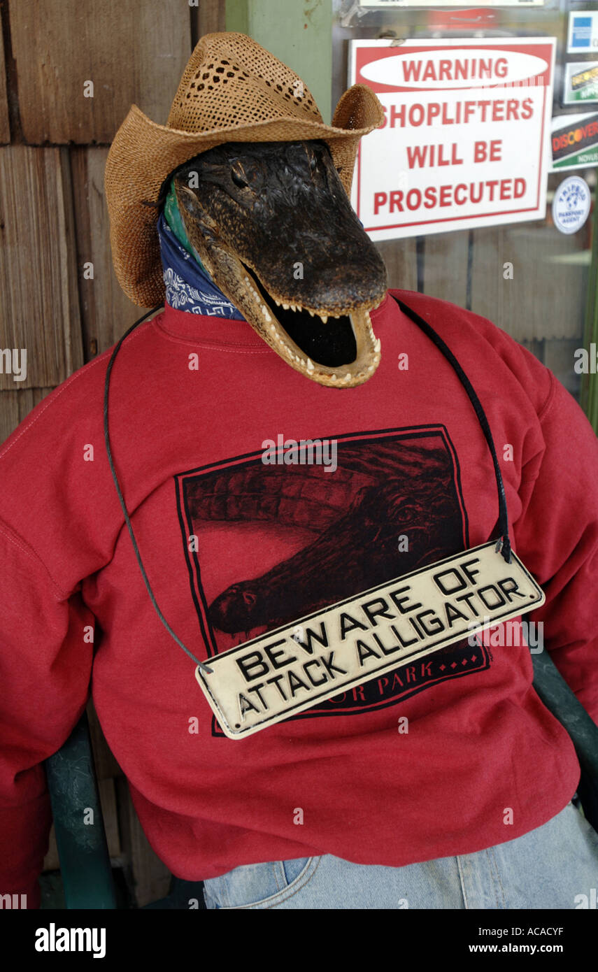 Funny u s national park hi-res stock photography and images - Alamy