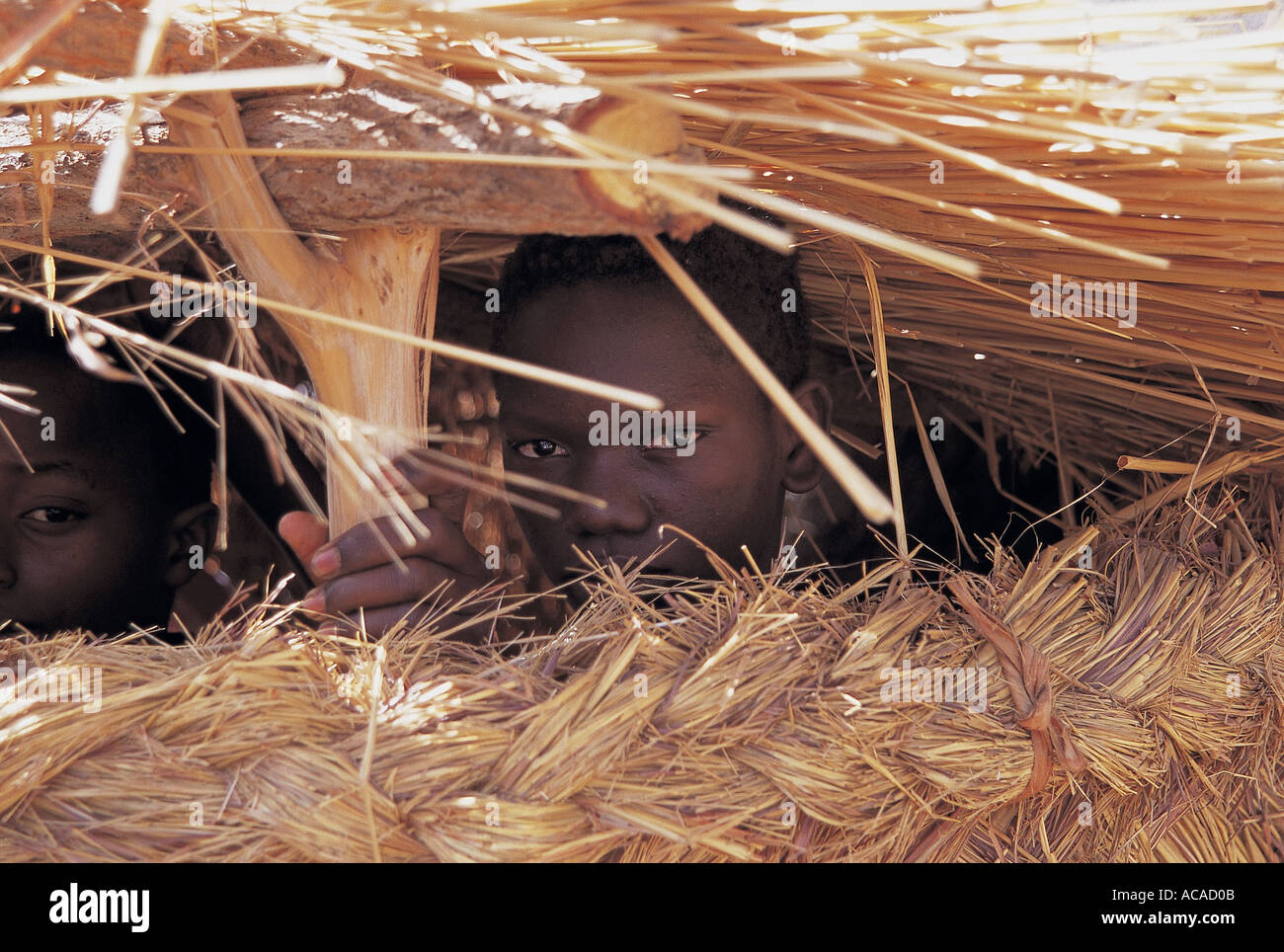 Young initiation boys, Bedik tribe Senegal, west Africa Stock Photo - Alamy