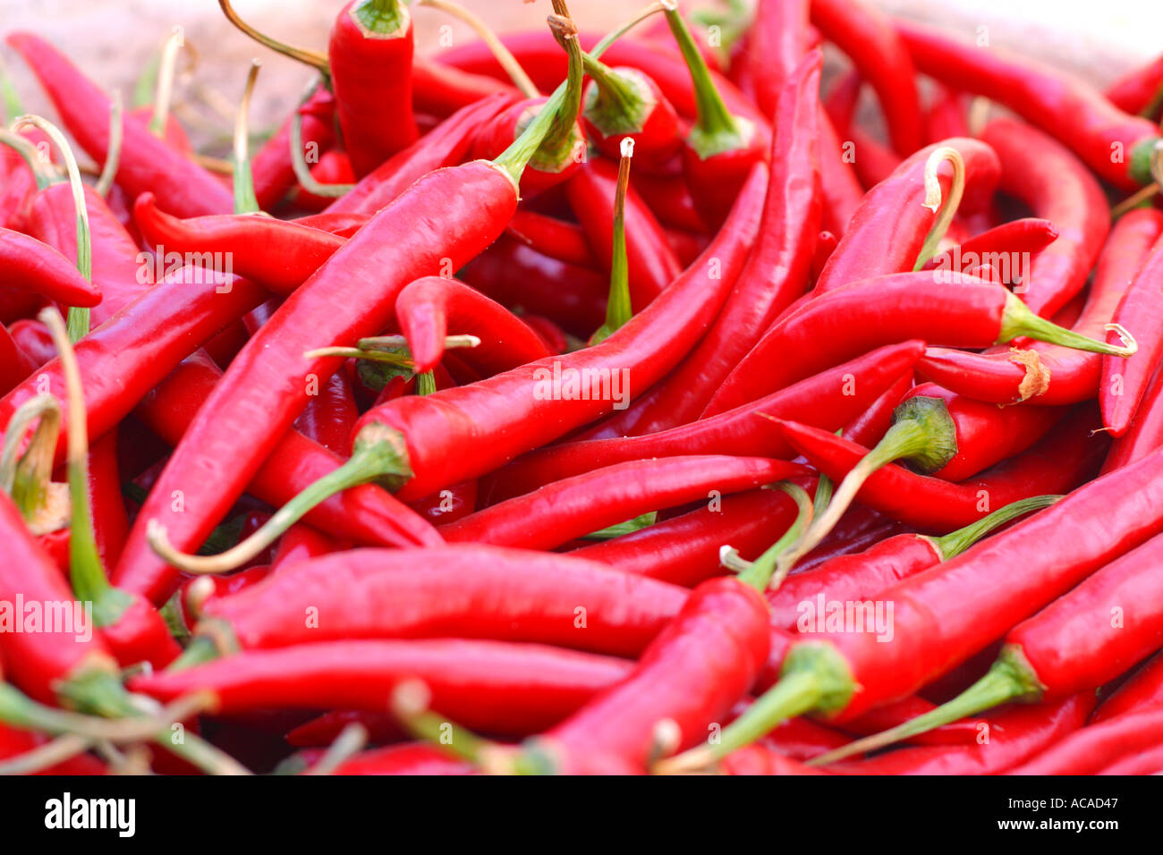 Pile of chilis hi-res stock photography and images - Alamy