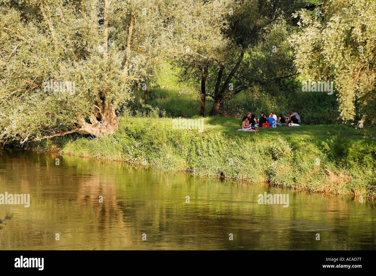 Meadow riverside forest hi-res stock photography and images - Alamy
