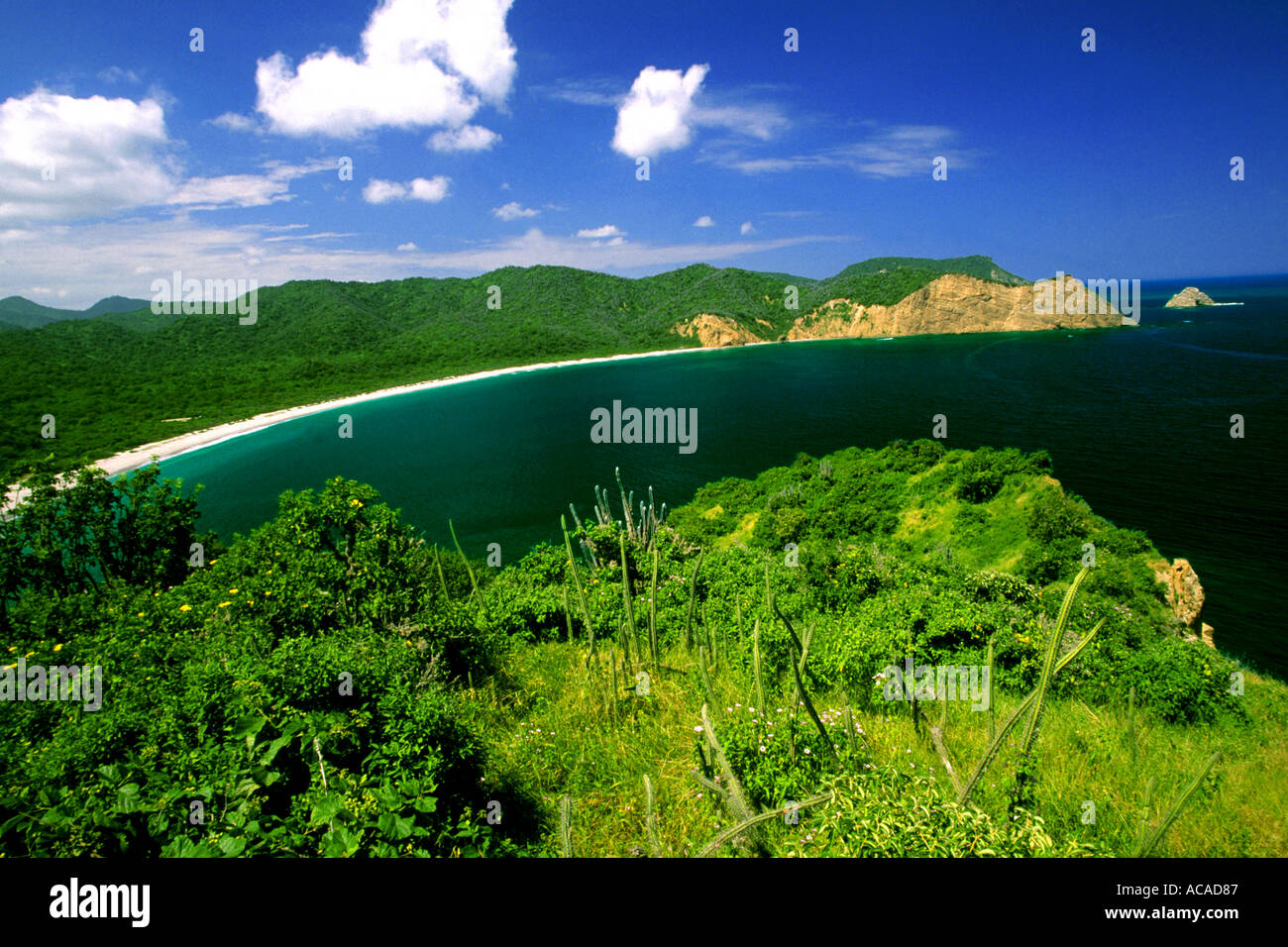 Landscape tropical dry forest and cliffs of Los Frailes Beach Manabi ...