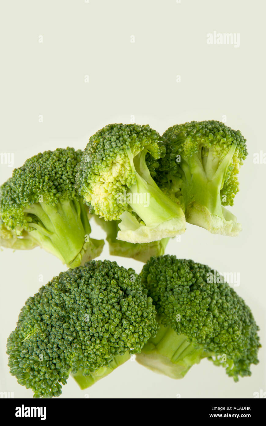 Broccoli vegetable, food and nutrition concept Stock Photo - Alamy