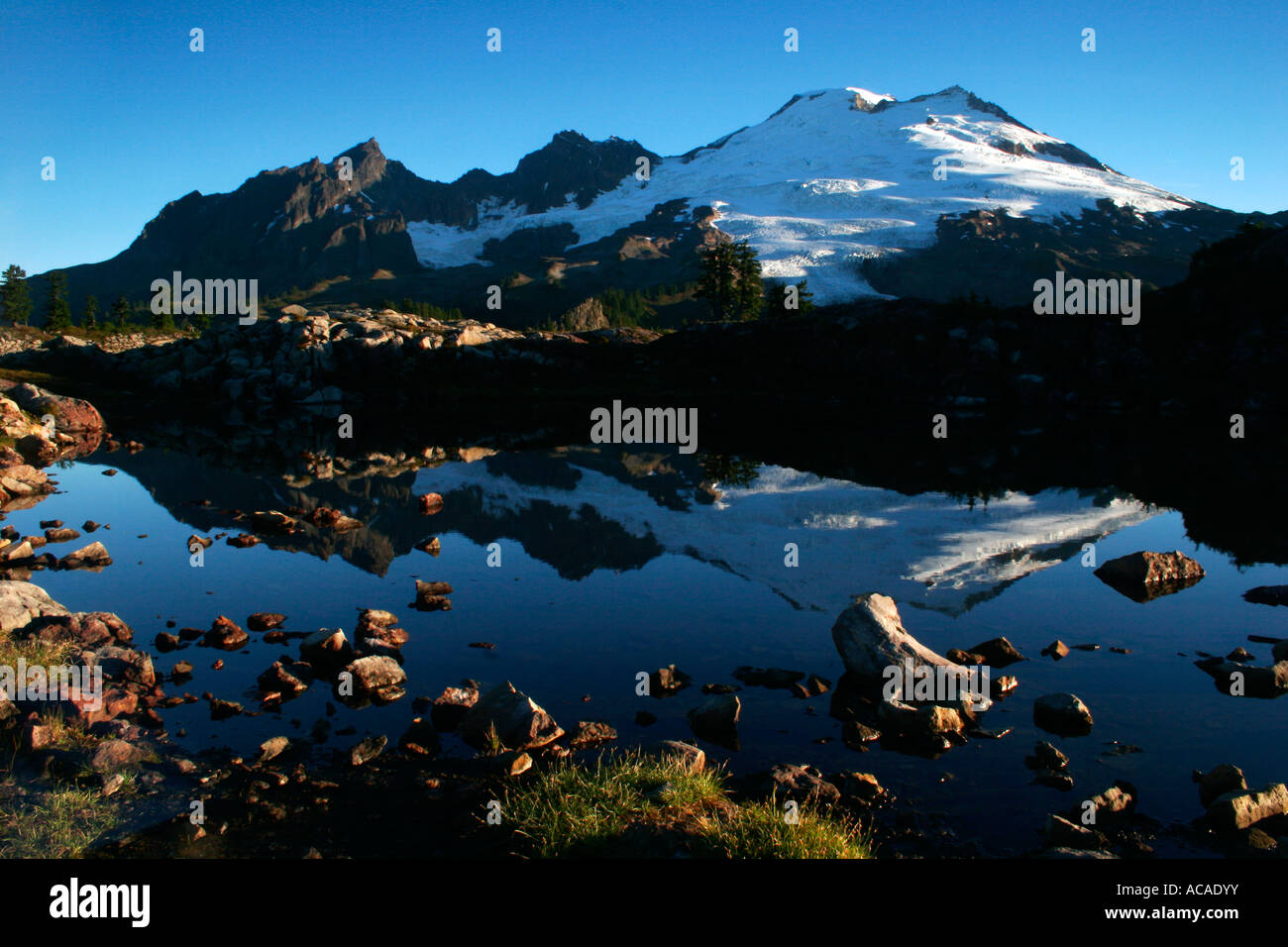 Mount Baker reflected in a tarn below Park Butte Mount Baker Wilderness ...