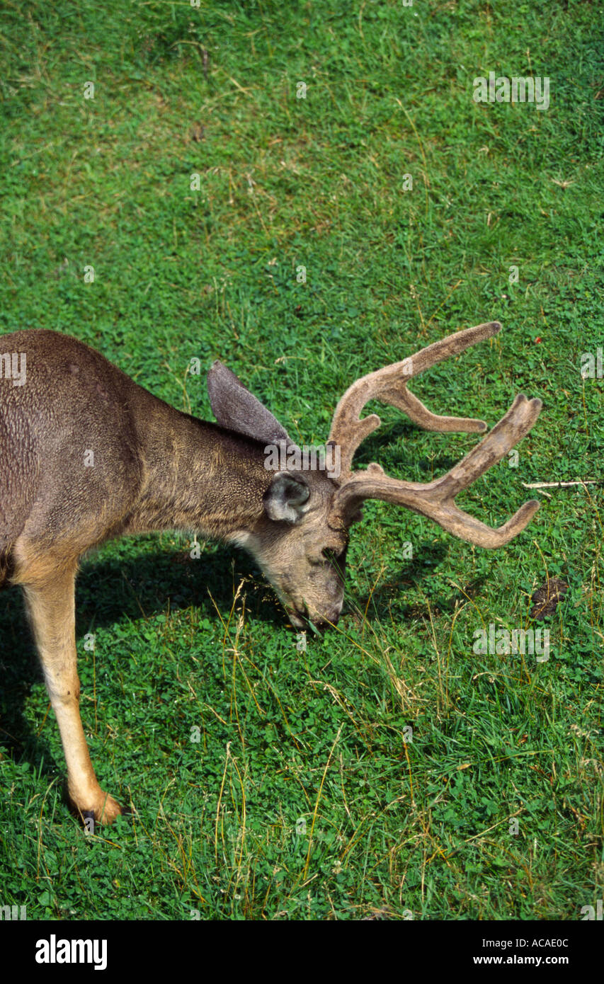 Orignal hi-res stock photography and images - Alamy