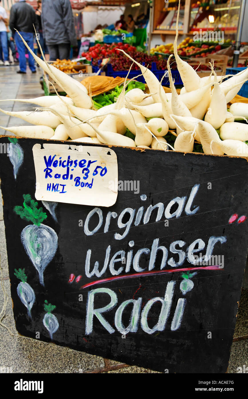 Radish, Original Weichser Radi, Regensburg, Upper Palatinate, Bavaria ...