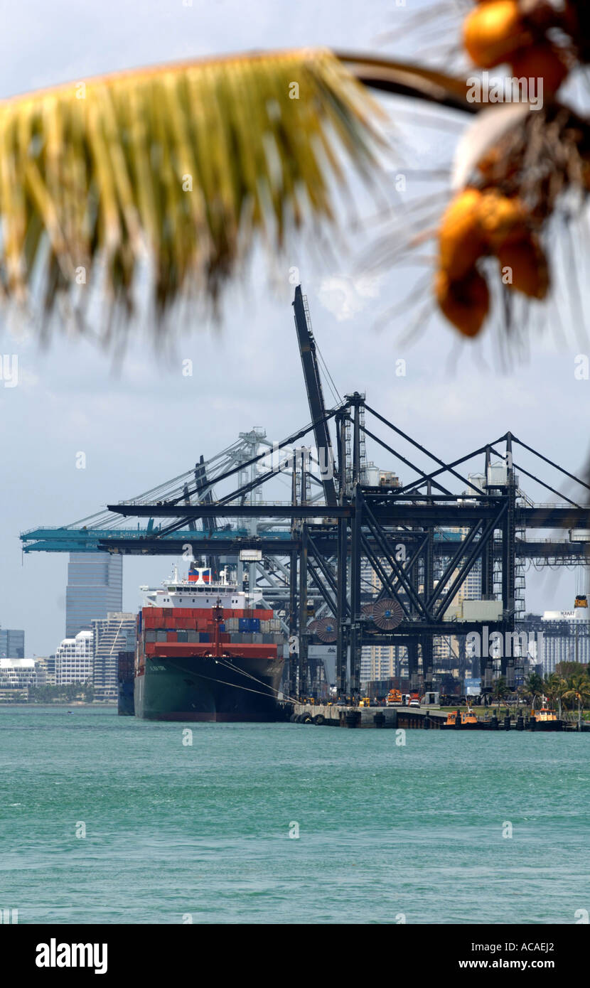 Container ship in the Port of Miami Miami Florida USA Stock Photo - Alamy