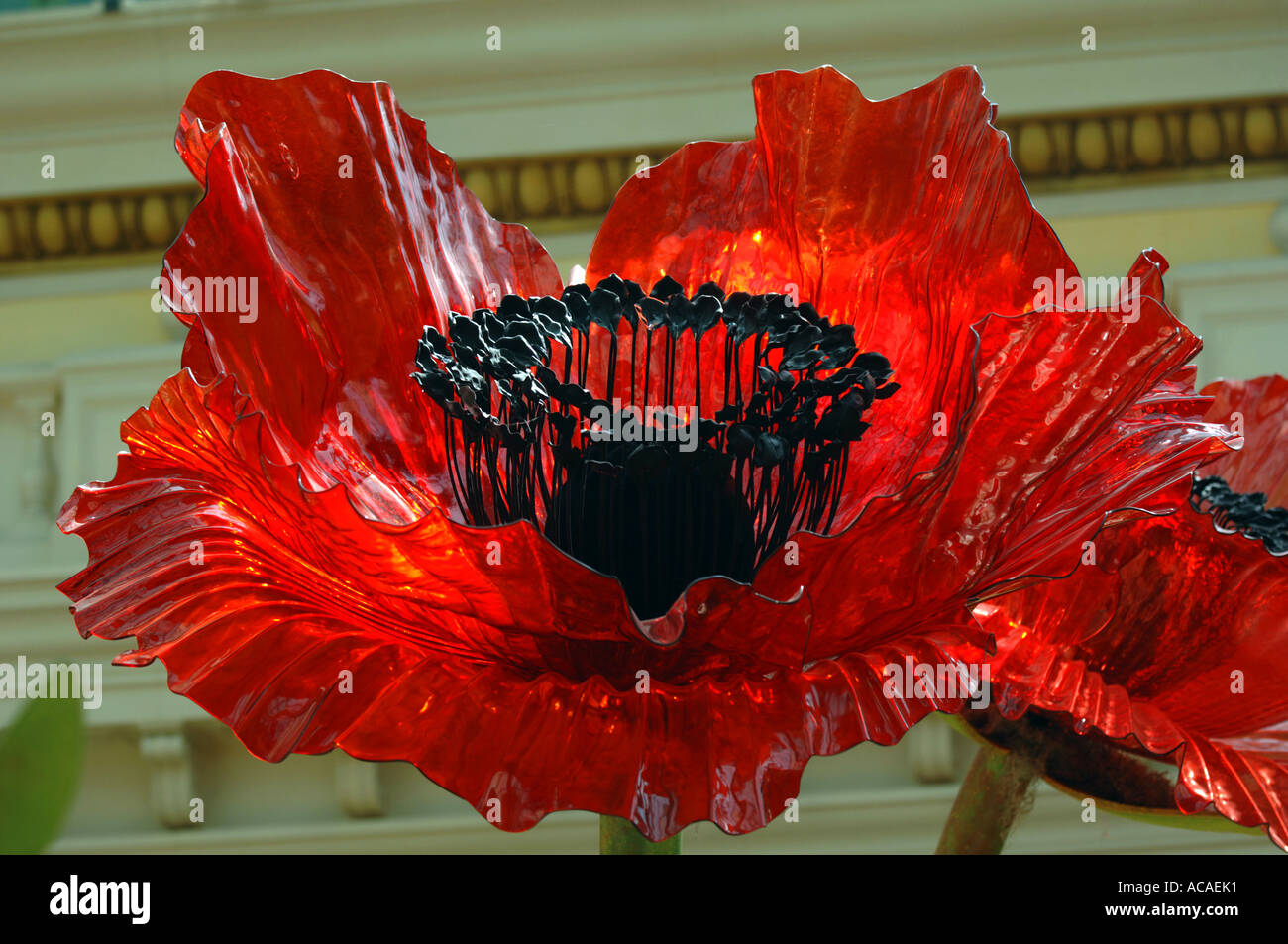 Bellagio Hotel, Giant glass poppies in the conservatory at The Bellagio ...
