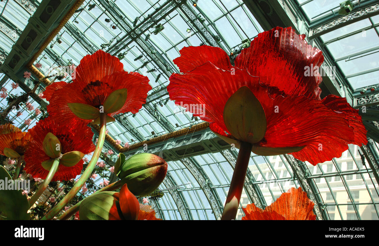 Giant glass poppies in the conservatory at The Bellagio Hotel and ...
