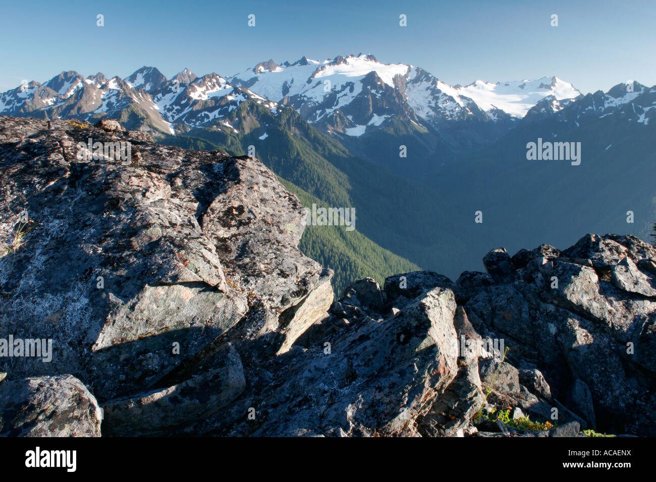 Mount Olympus from the Bailey Range, Olympic National Park, Washington ...
