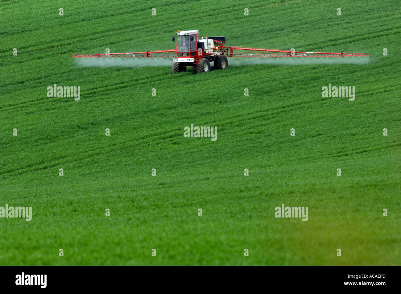 Insect pests of farm crops hi-res stock photography and images - Alamy