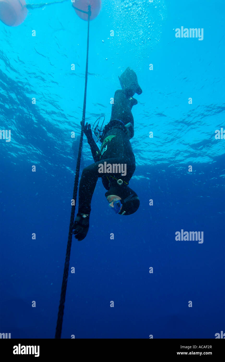 Herbert Nitsch breaks the new No Limits world freediving record diving ...