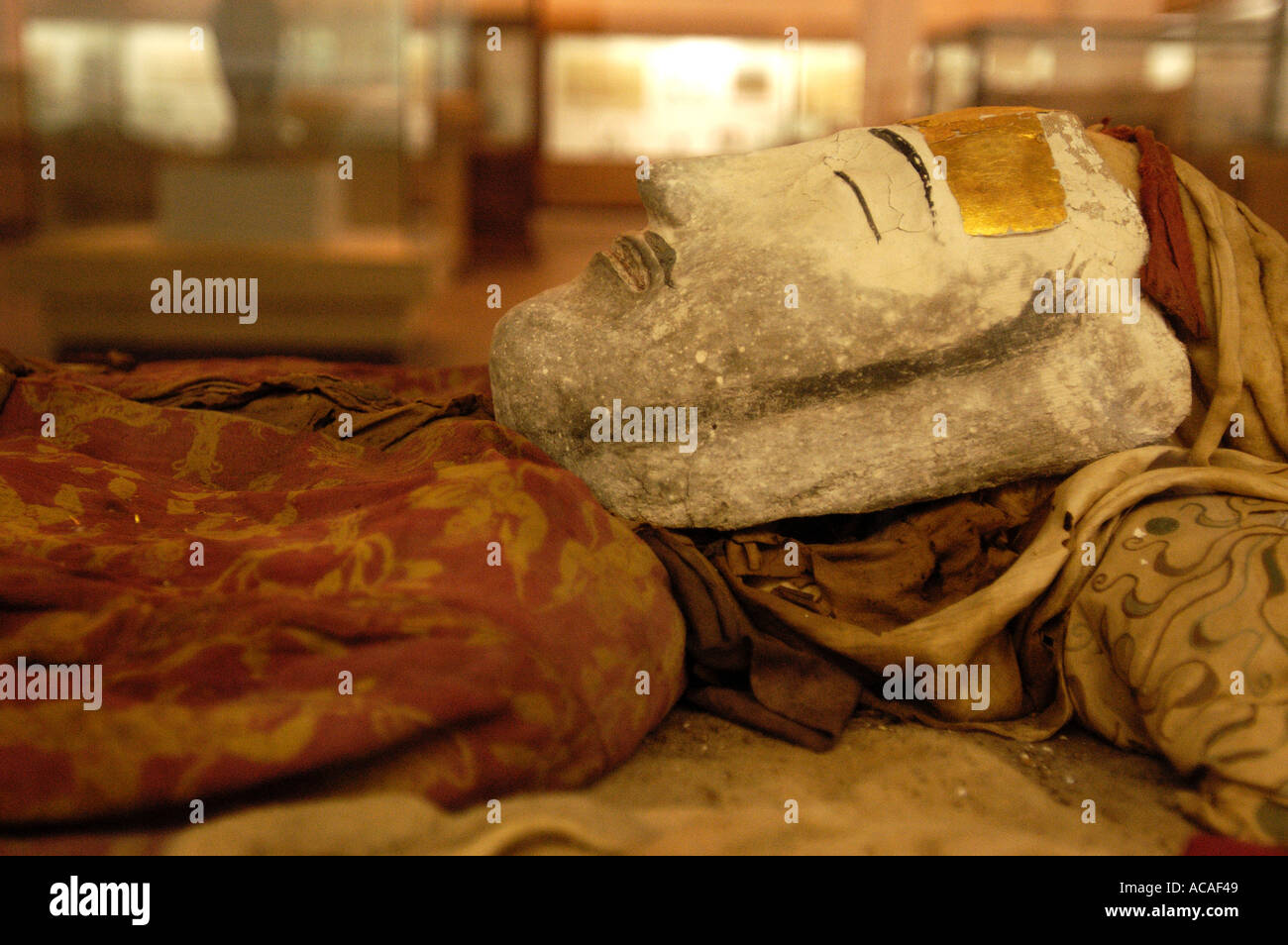 Preserved corpse in the Xinjiang Regional museum Urumqi China on the ...