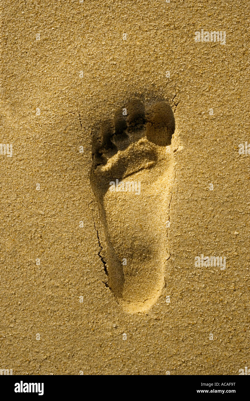 footprint, footprint in sand, beach, imprint Stock Photo - Alamy