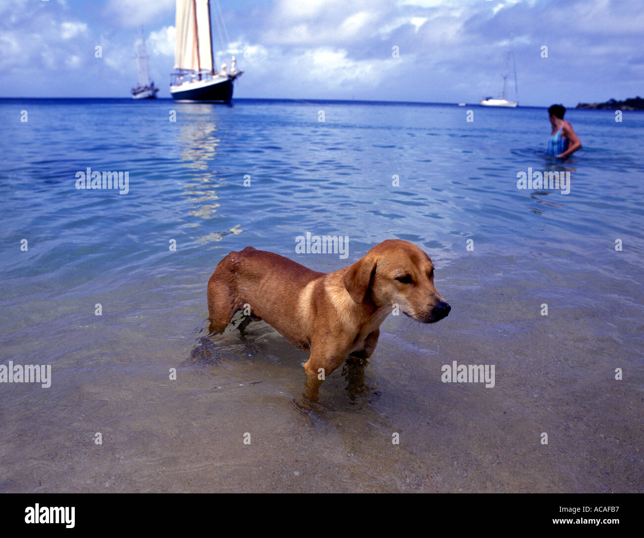 Scaramouche boat hi-res stock photography and images - Alamy