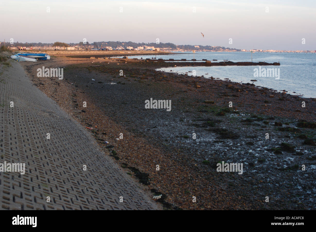 Seawall and shore Poole Harbour Dorset England Stock Photo - Alamy