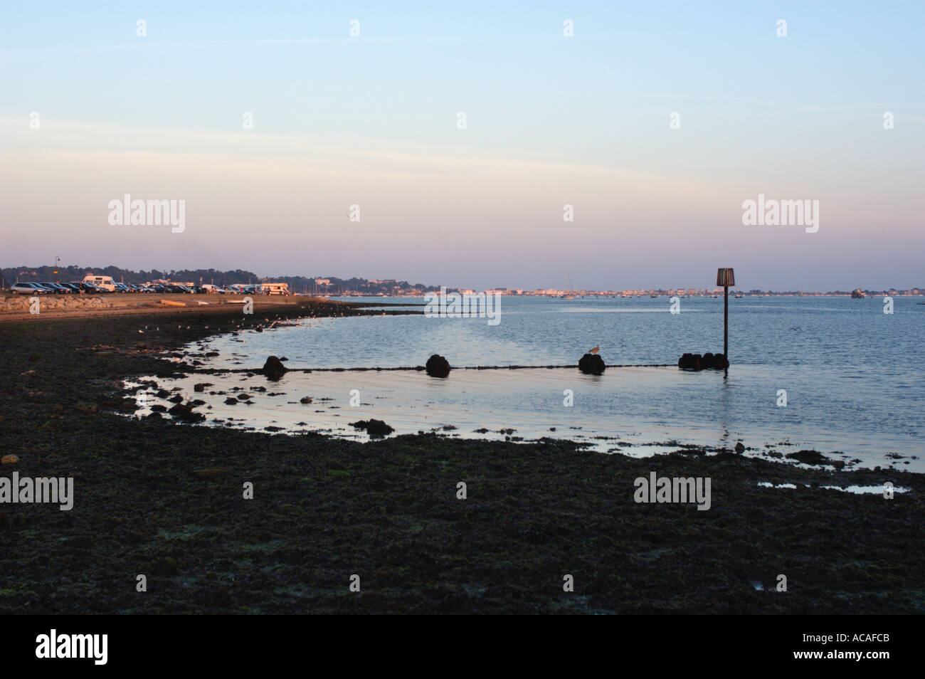 Fishing boats poole harbour hi-res stock photography and images - Alamy