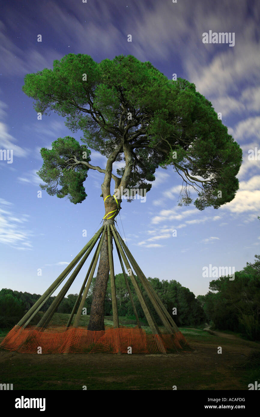 Propped up hi-res stock photography and images - Alamy