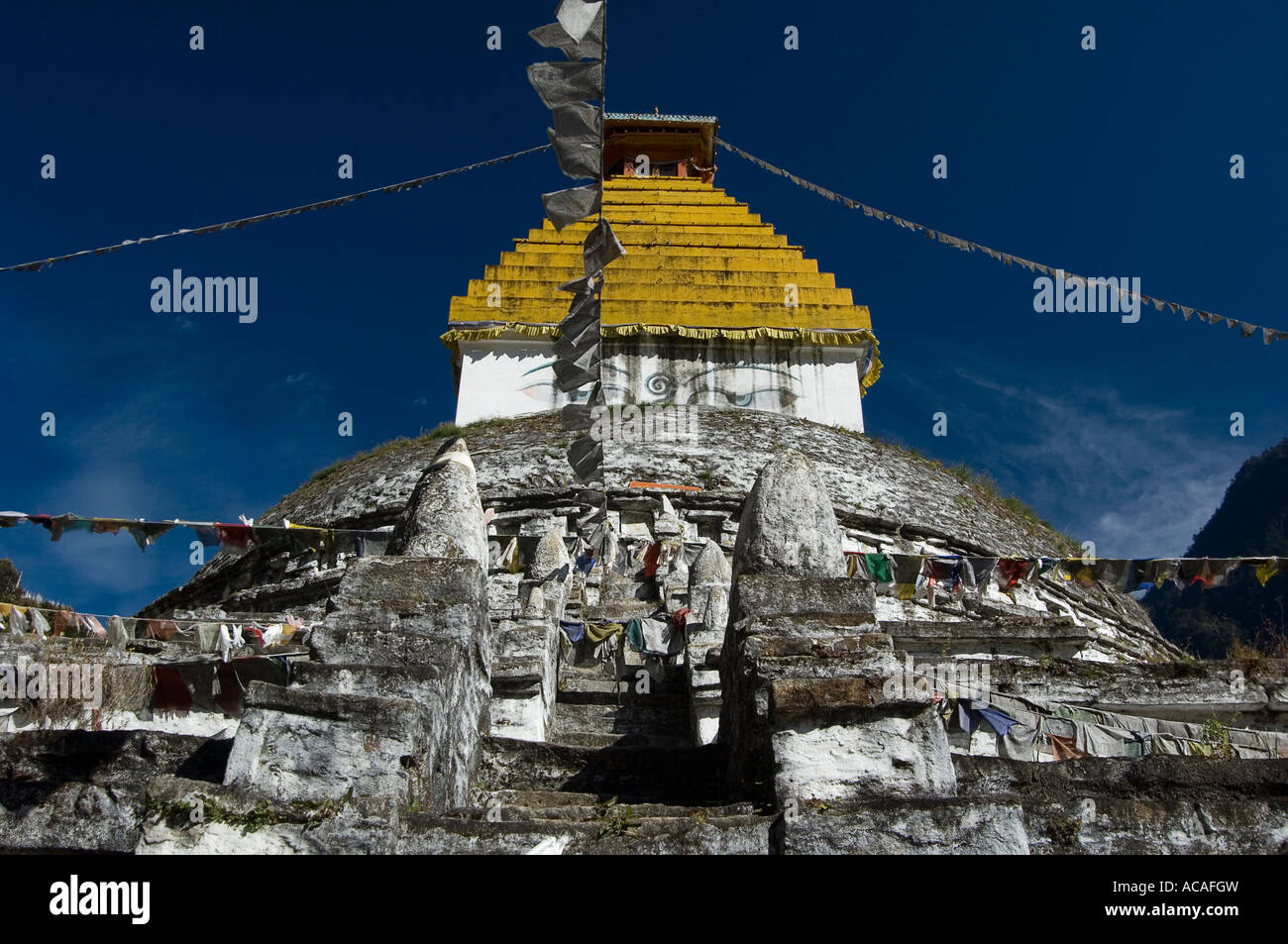 Gorsam hi-res stock photography and images - Alamy