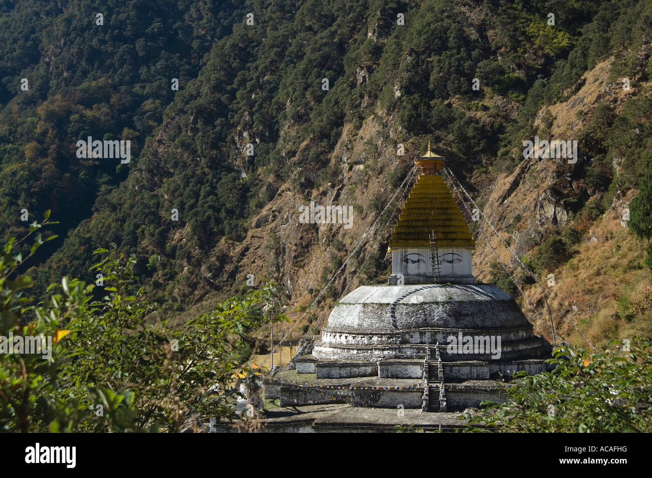 Gorsam hi-res stock photography and images - Alamy