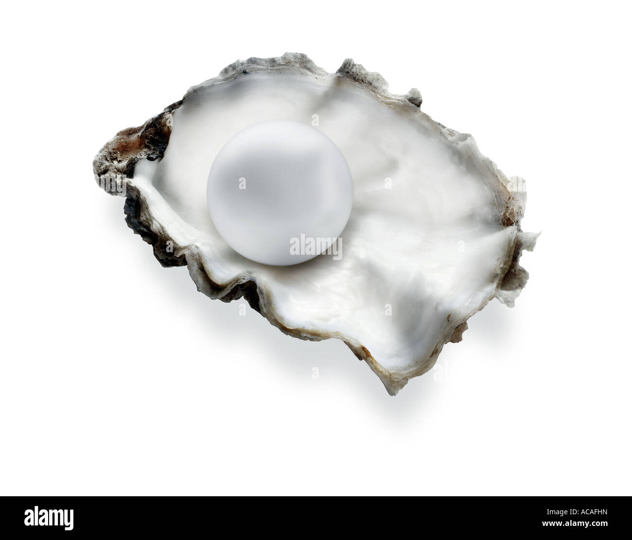 oyster shell with pearl, cut out Stock Photo - Alamy