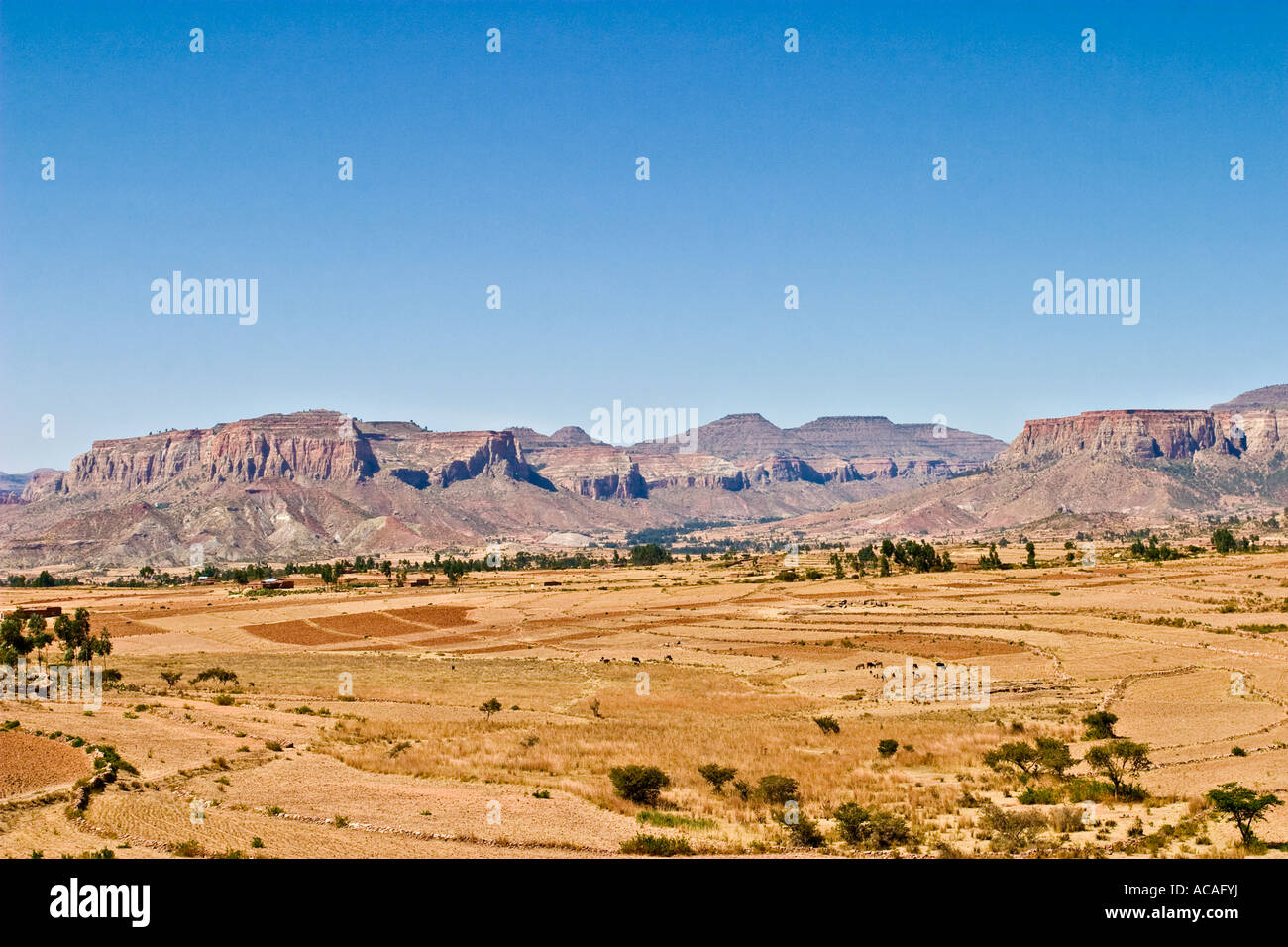 Ethiopia dessie hi-res stock photography and images - Alamy