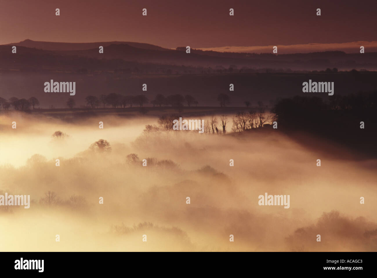 Thick mist covering the Beacon Brentor Devon UK Stock Photo - Alamy