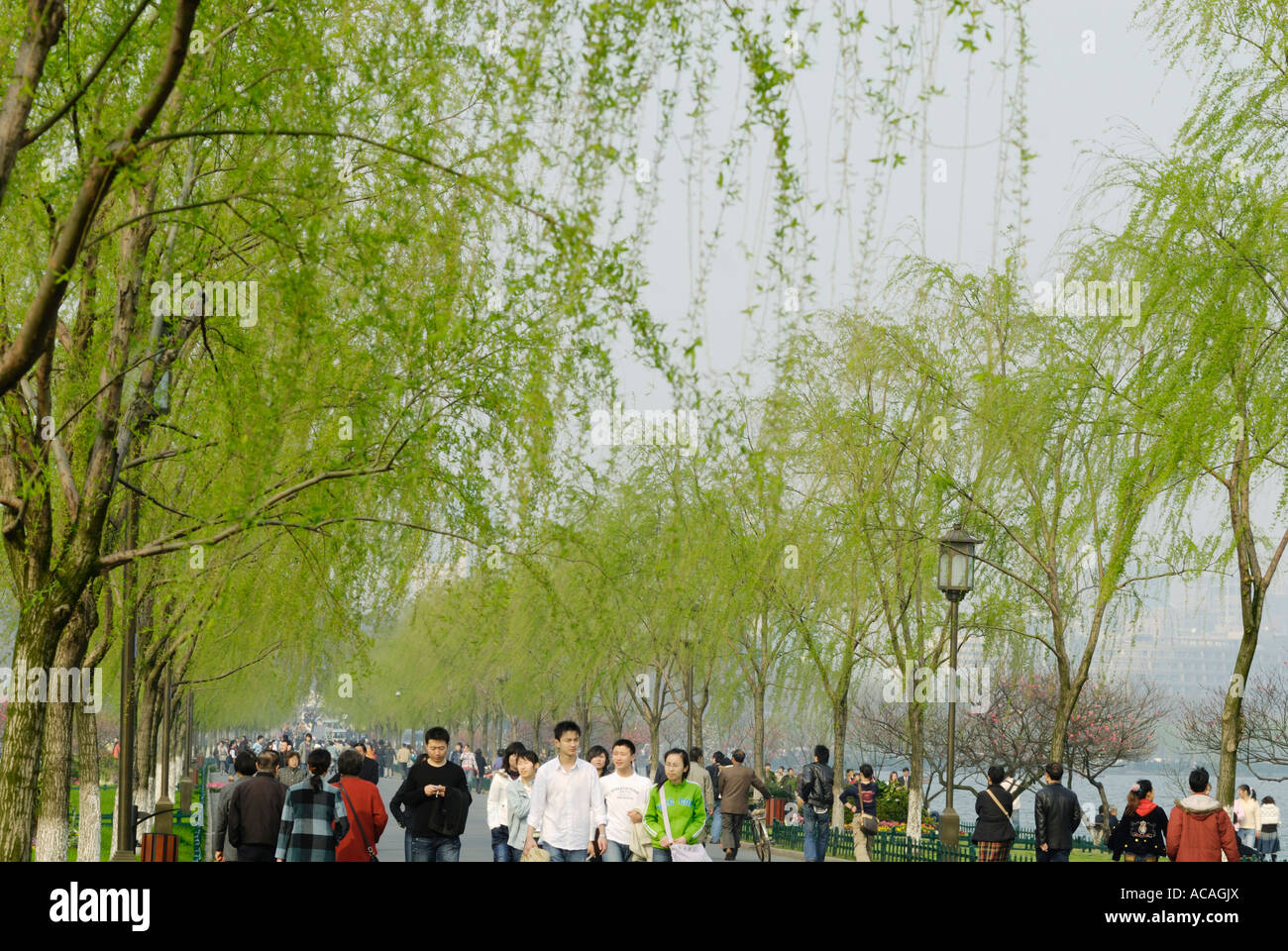 China, Hangzhou, Walking around West Lake, Bai Causeway Stock Photo - Alamy