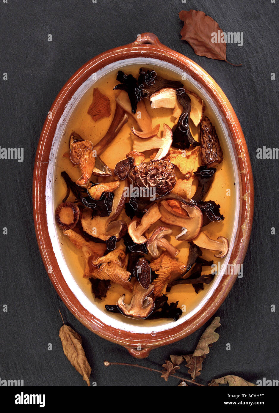 Gratin dish fungi hi-res stock photography and images - Alamy