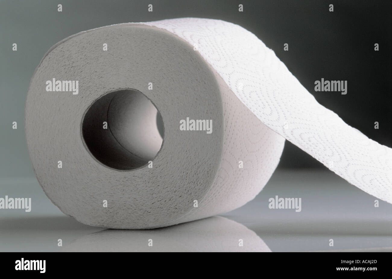 ROLL OF TOILET PAPER Stock Photo - Alamy