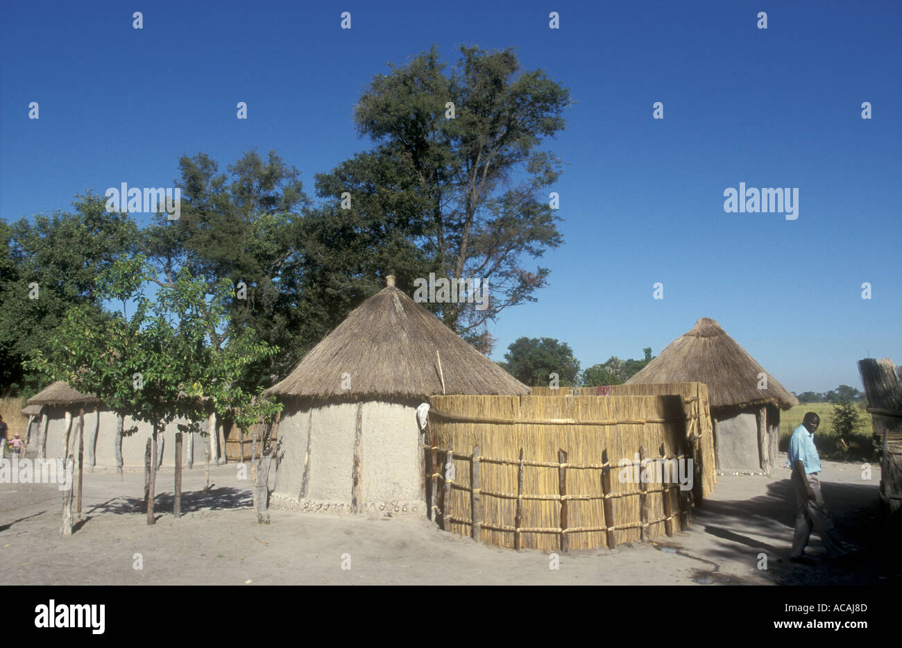 Tswana village huts in Letswe Village near Okavango Delta Botswana ...