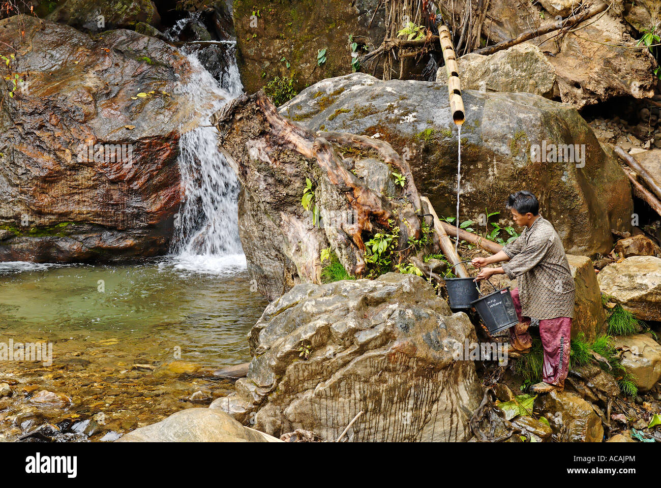 Himalaya regenwald hi-res stock photography and images - Alamy