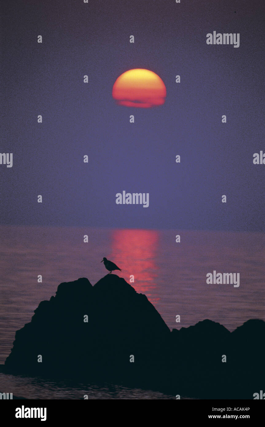 Sunset Bryn Pembroke Coast Wales UK Stock Photo - Alamy